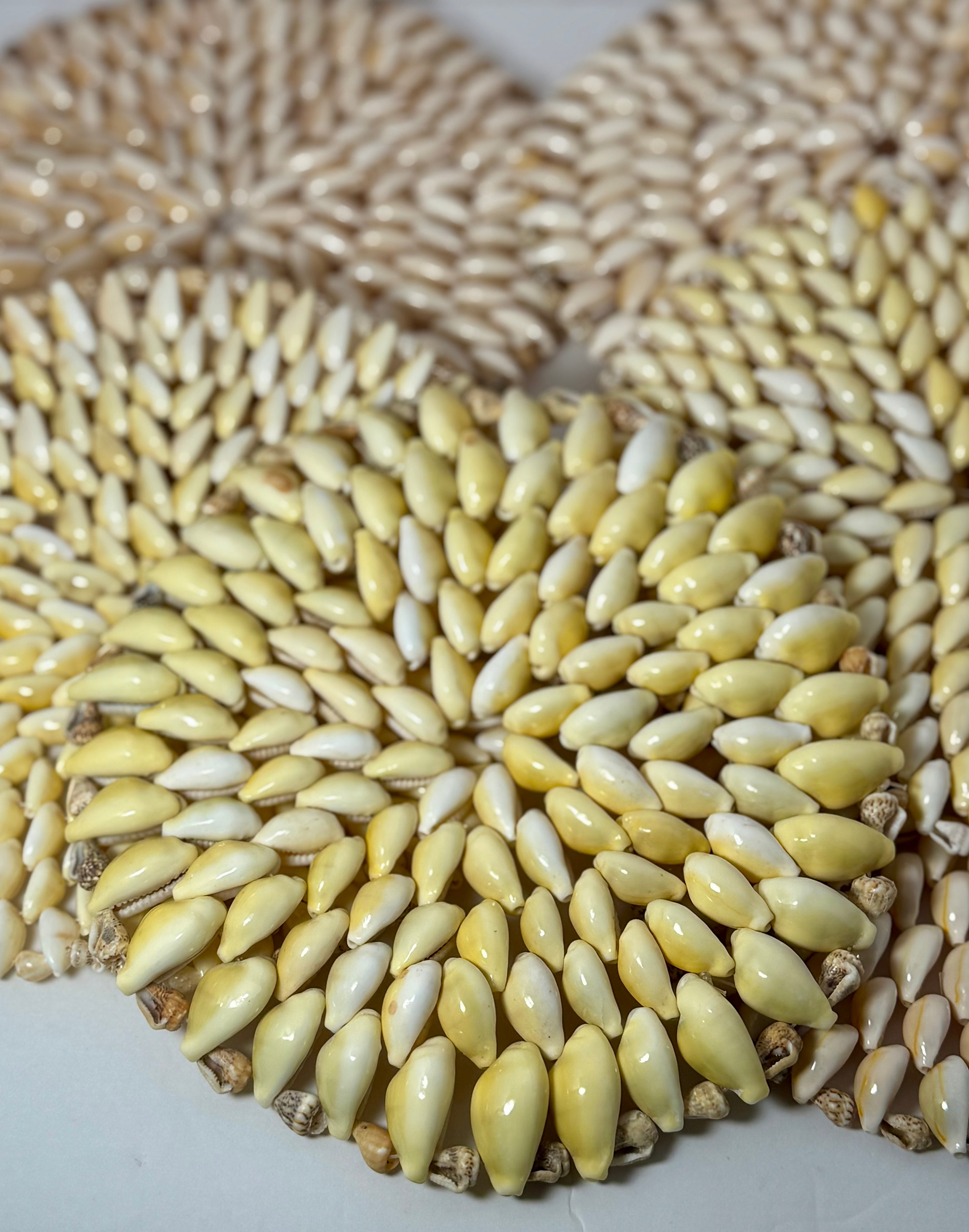 All Natural 6” Seashell Climber – Rowan's Seaside Treasure